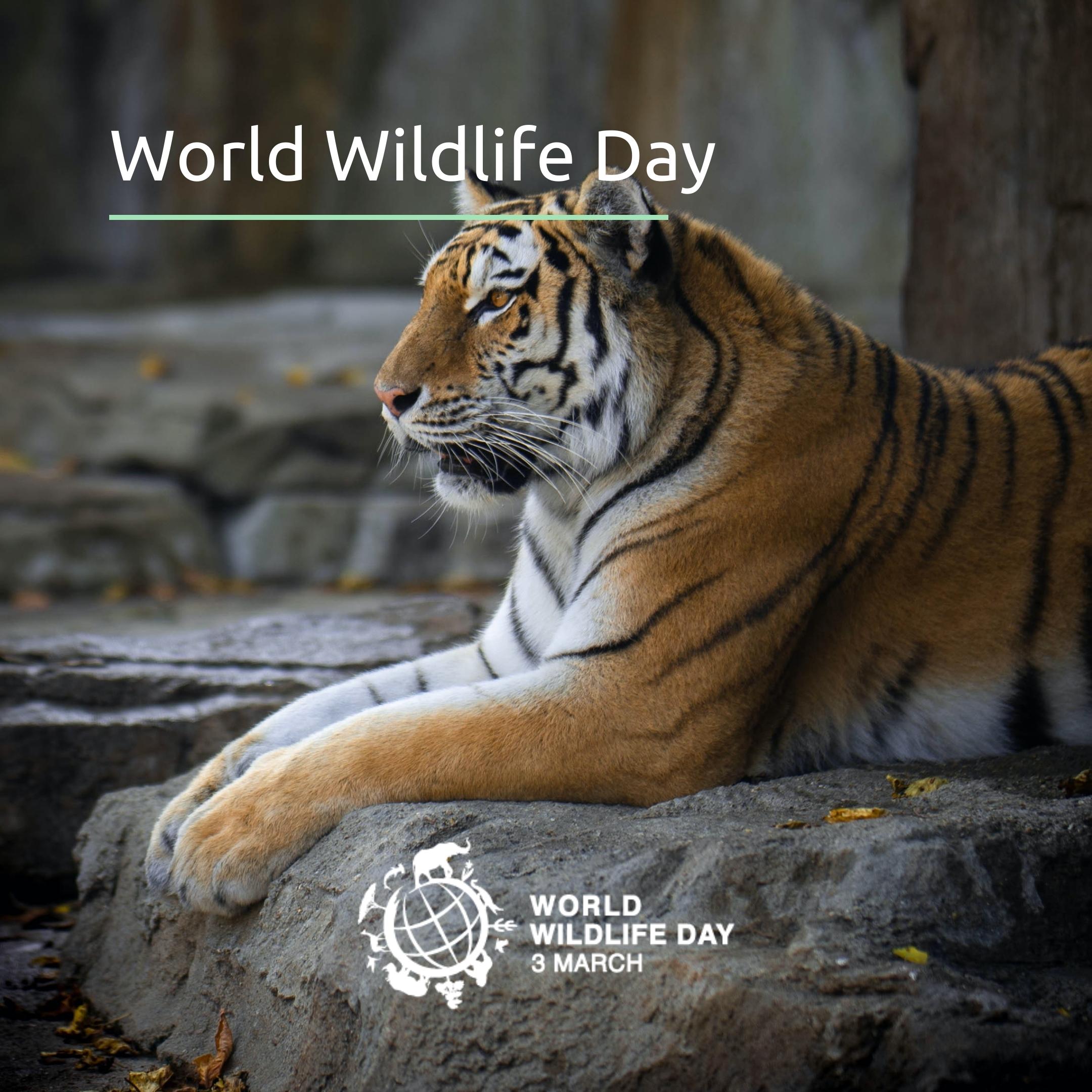 World Wildlife Day